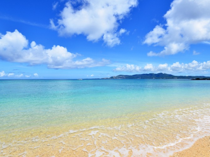 Leptonキャンペーン - スタッフBlog｜ロンドスクールMAX成増